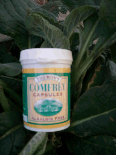 Theron's Comfrey Wonder Capsules (60) - Therons Comfrey